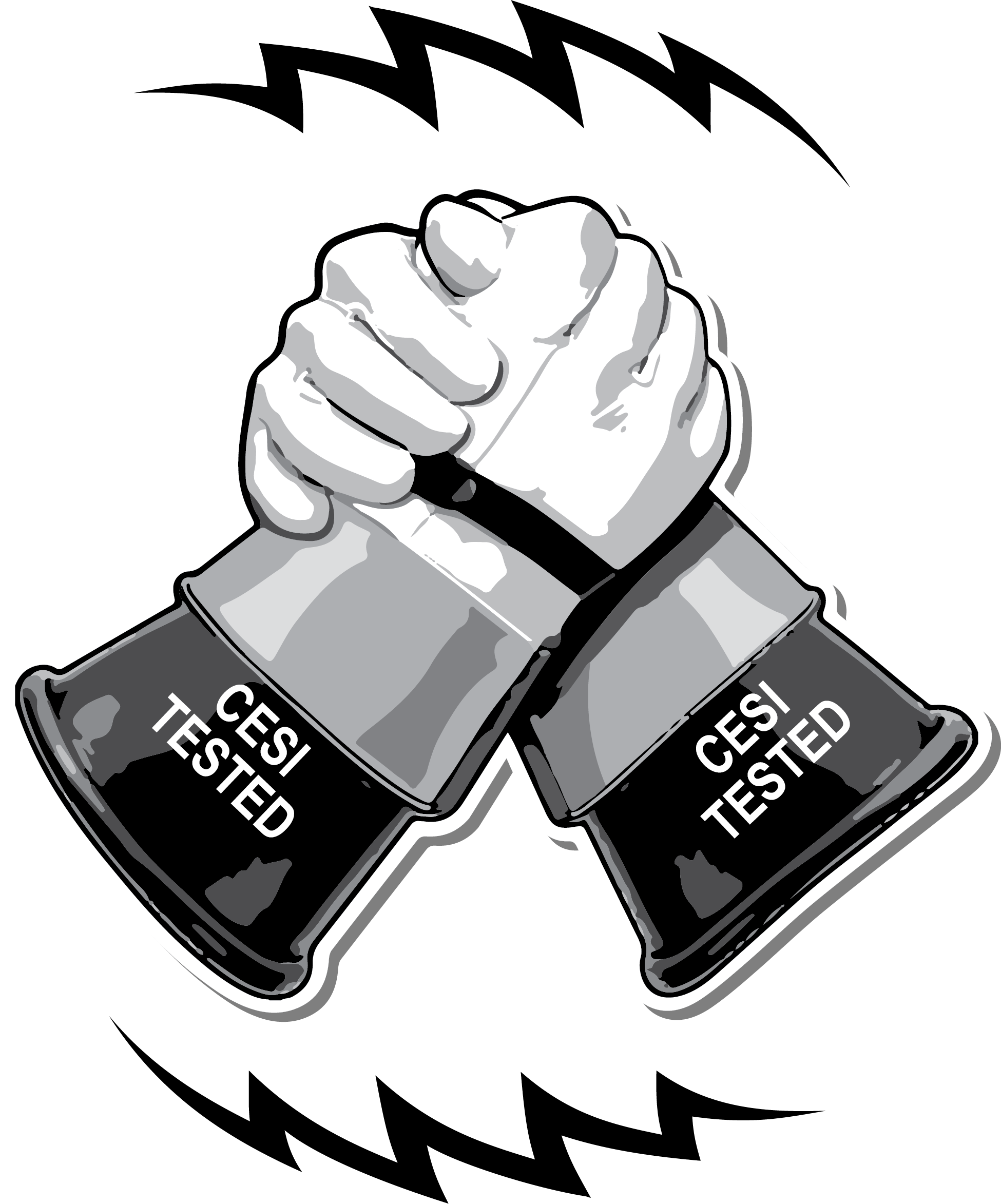 About CESI | Cotton Electric Services